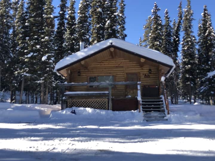 The Lupin Cabin - Yukon
