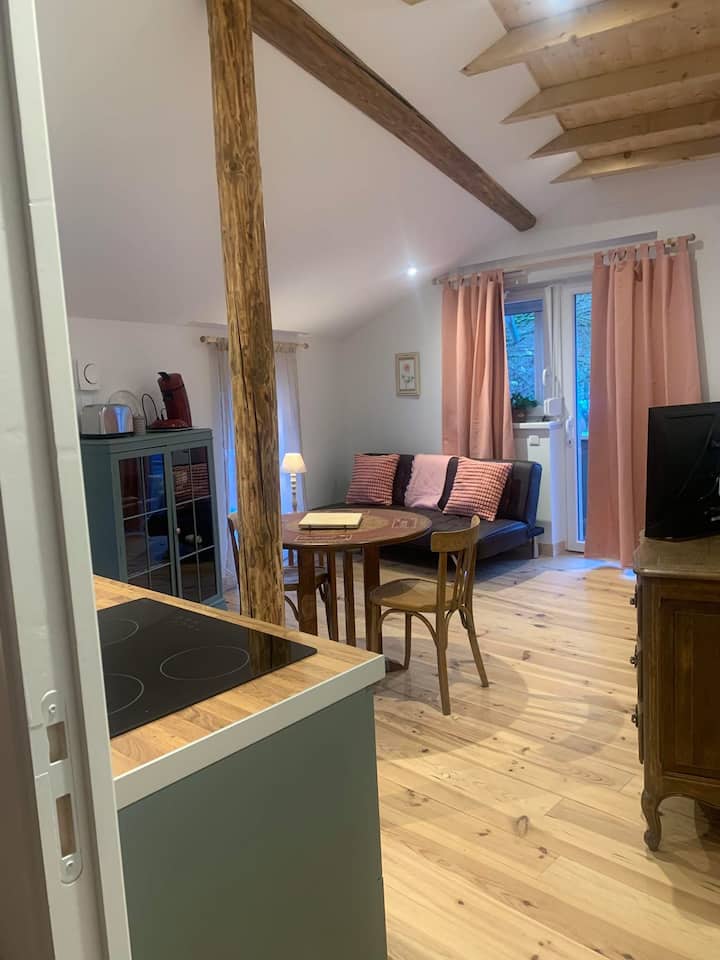 Les Hirondelles - Les Roses - Saint-Avold