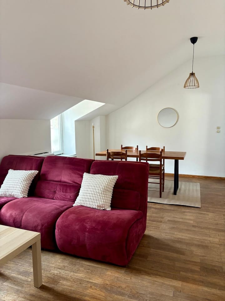 Jolie F2 Proche Gare Et Centre-ville - Épinal