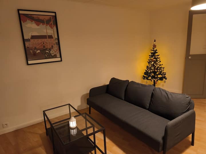 Appartement Chaleureux Au Centre Historique - Mulhouse