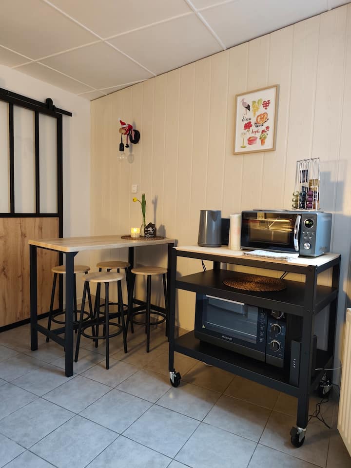 Appartement Chaleureux Au Centre Historique - Mulhouse