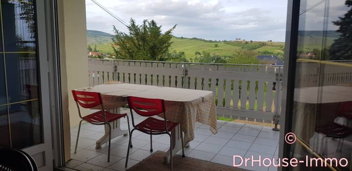Jolie Maison Entière Sur La Route Des Vins - Guebwiller
