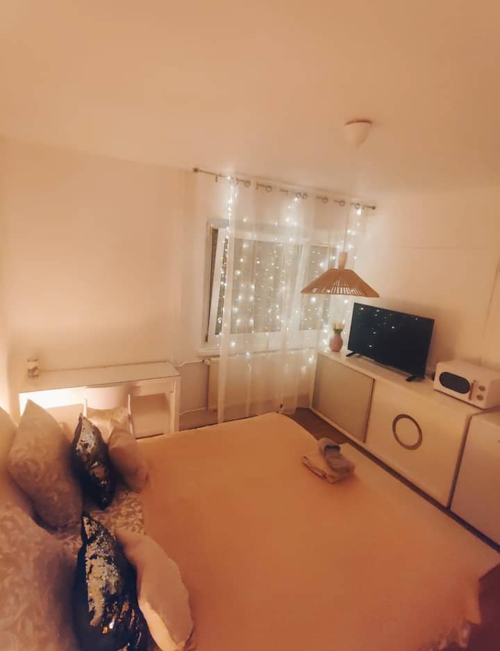 Chambre Chez L'habitant - Strasbourg