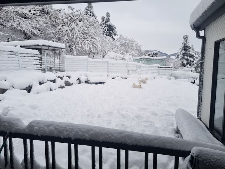 서울에서 가까운 겨울숲 한달살기 일주일살기 - 양서면