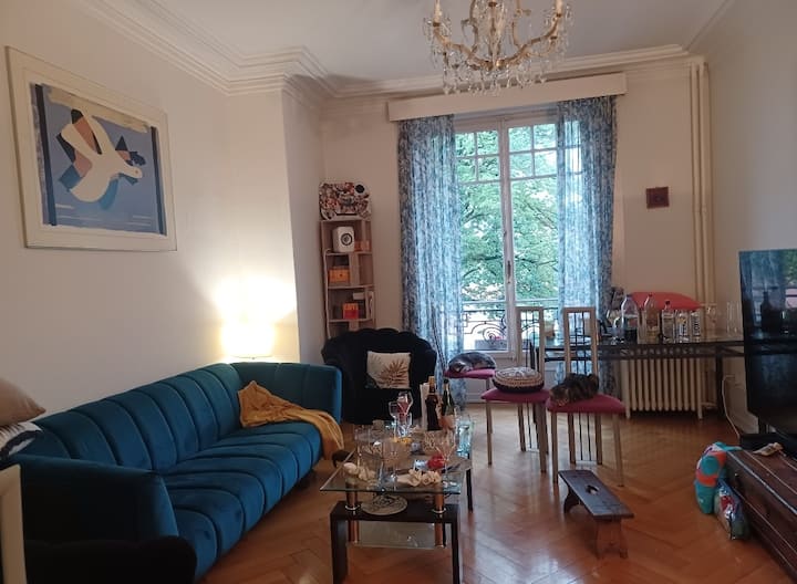 Le Salon Des Amis - Plein Centre - Ginevra