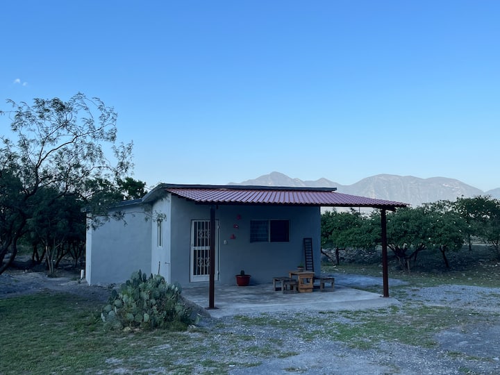 Studio Buenavista - Hidalgo