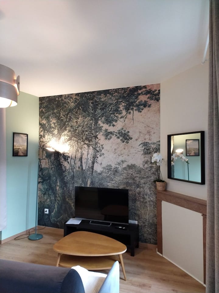 Appartement Neuf Confortable Centre Ville - Issoire