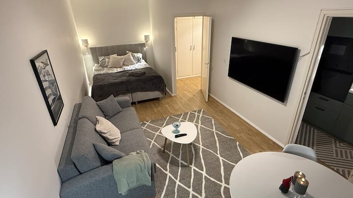 Tilava Yksiö Kaikilla Mukavuuksilla Alppilassa - Helsinki