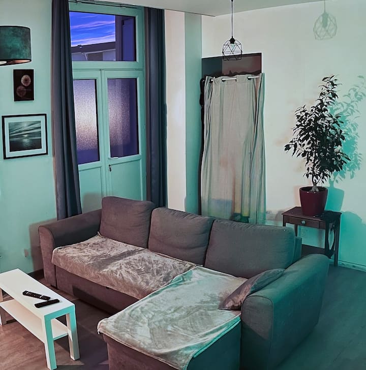 Meublé "Maryline"t2 65 M²
 Proche Commodités - Saint-Étienne