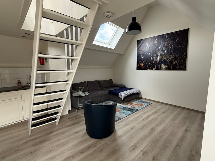 Spacious Studio In Maastricht - Near Mecc - Maastricht