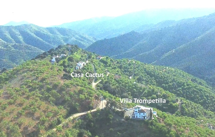 Villa Trompetilla & Casa Cactus 20p - Rincón de la Victoria