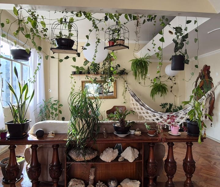 Paz Em Um Jardim Nas Alturas - Centro De Curitiba - Curitiba