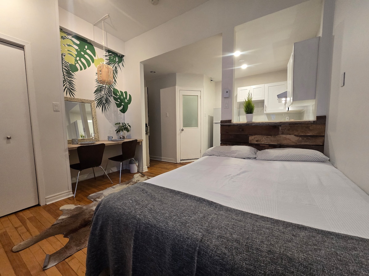 joli studio près de la vieille ville - Appartements à louer à Québec ...