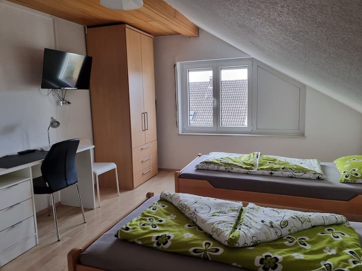 Dachgeschoßwohnung Bruckenfeld - Rheinau