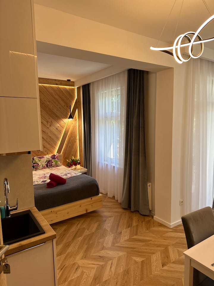 Willa Sigma Apartament Typu Studio - Zakopane