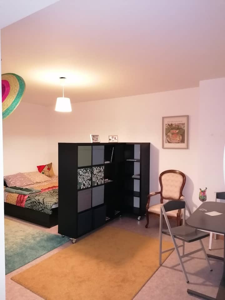 Appartement- Top Centre Historique Mulhouse - Mulhouse