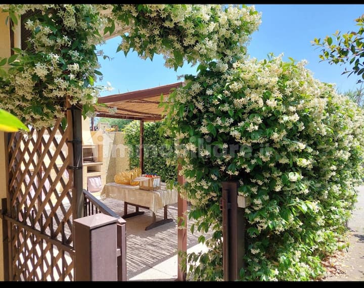 La Stella Del Sud - Holiday Home - Riposto