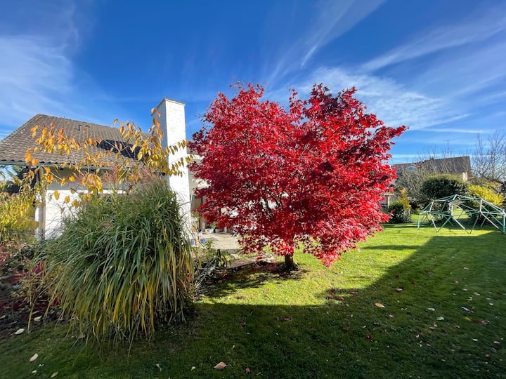 Villa 23 - Ingolstadt