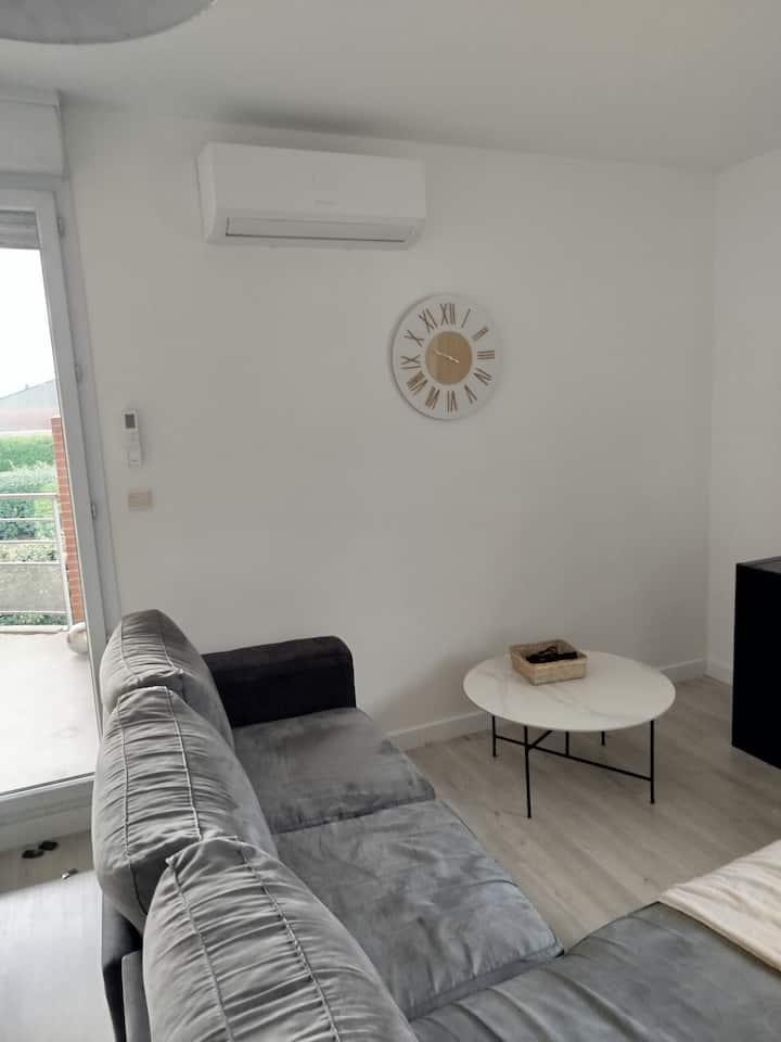 Bel Appartement 3 Pièces Lumineux. - Saint-Alban