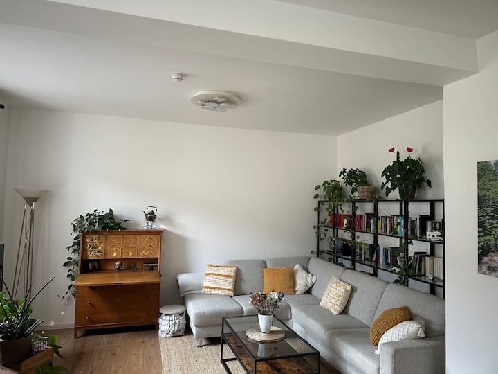 100 M2 Wohnung In Köln - Cologne