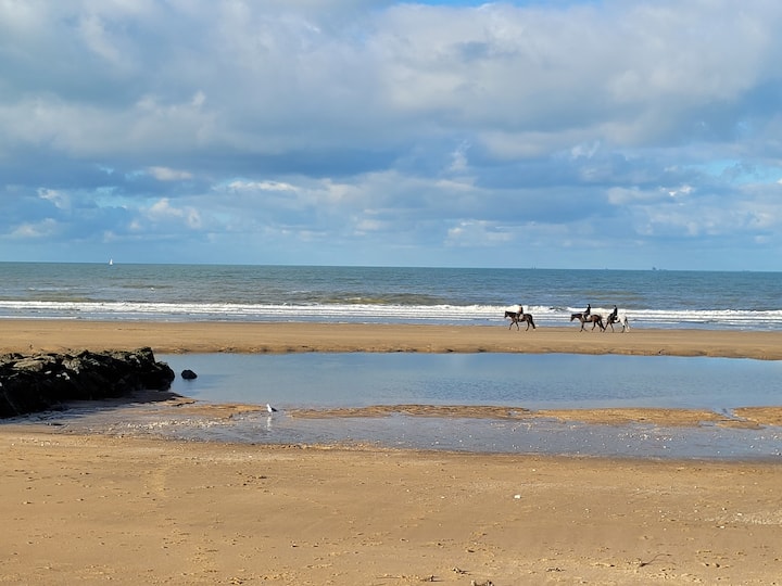 Cocon Entre Mer, Nature Et Histoire - Blonville-sur-Mer