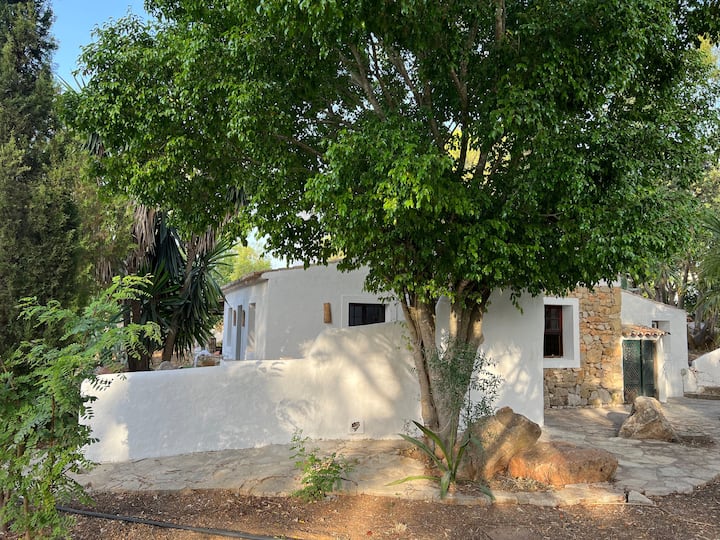 Countryside Gateaway In Algarve - Boliqueime