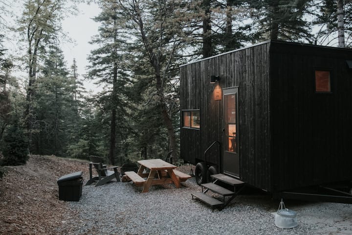 2 Bed Cabin - Postcard Cabins St. Francois - Hawn State Park, New Offenburg