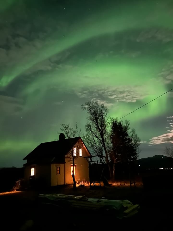 Old Farm House & Sauna - Bogen