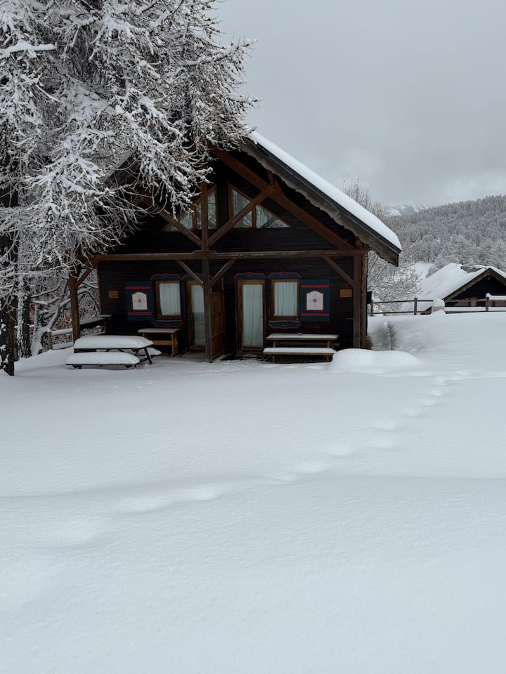 Chalet Ourson Les Pléiade Bordure De Piste - Risoul