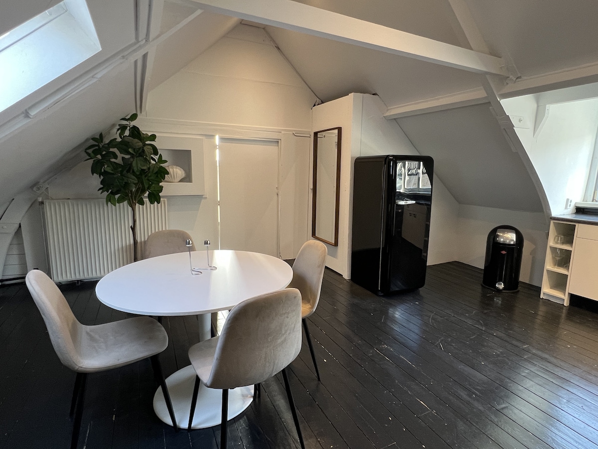 The Attic Escape - Flats for Rent in Rotterdam, South Holland ...