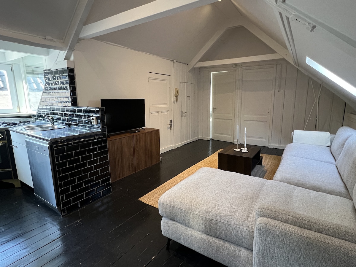 The Attic Escape - Flats for Rent in Rotterdam, South Holland ...