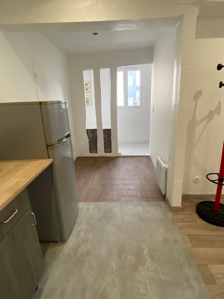 F2 Lumineux Proche H Charle Nicole & Clinique St.h - Rouen