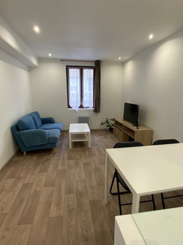 F2 Proche H Charle Nicole & Clinique St Hilaire - Rouen