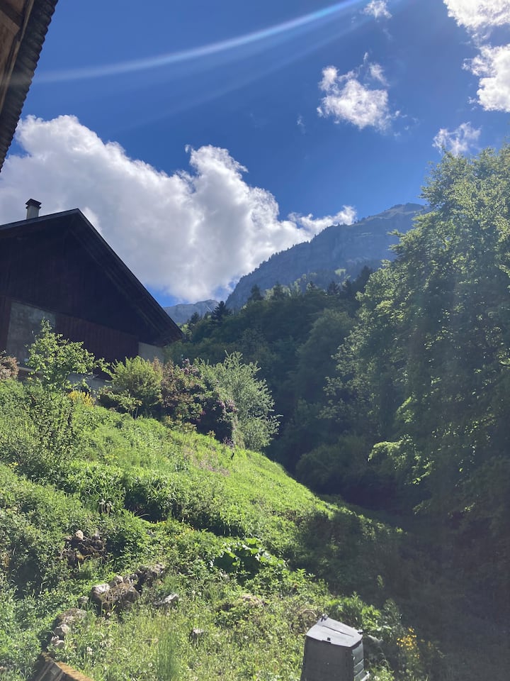 *La Maison D'alpage* La Forclaz, Rivière & Forêt - Talloires-Montmin