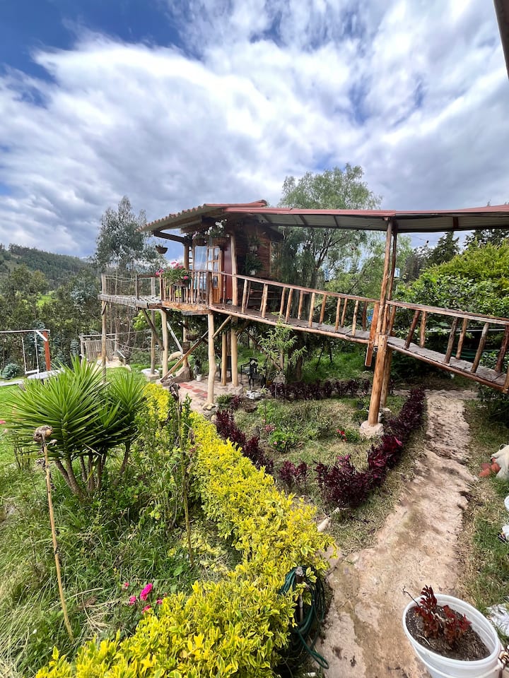 Casa En El áRbol Haifa - Iza