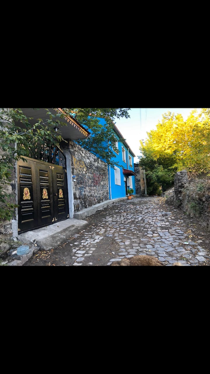 Mavi Ladin Konukevi - Kars