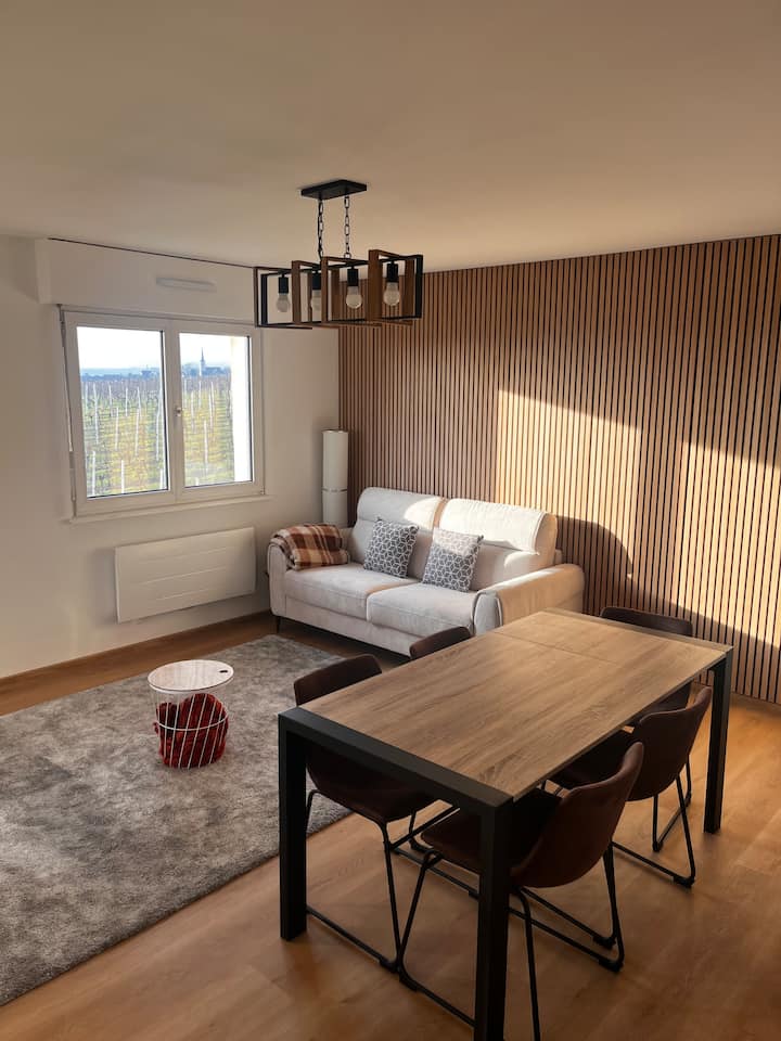 Panorama Des Vignes - Barr