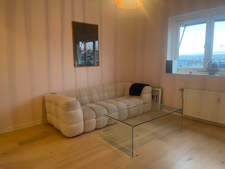 Lys Og Pen Leilighet På Carl Berners Plass - Oslo