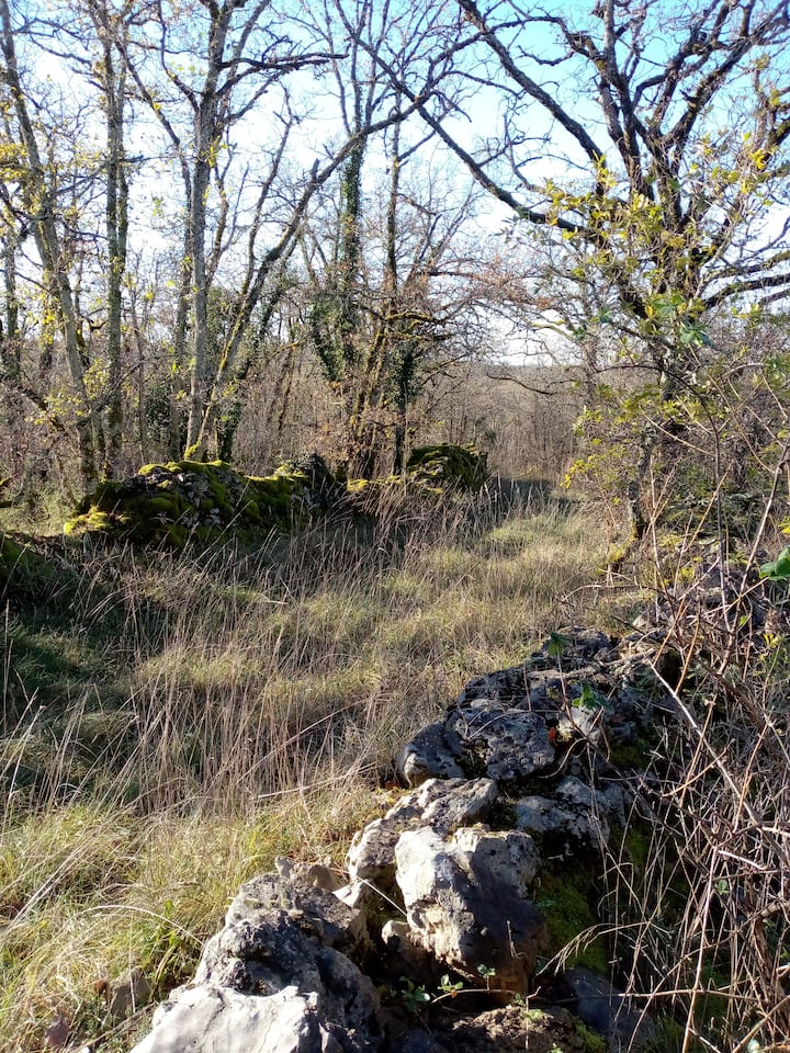 Hébergement Convivial Pour Amoureux De La Nature - Saint-Cirq-Lapopie