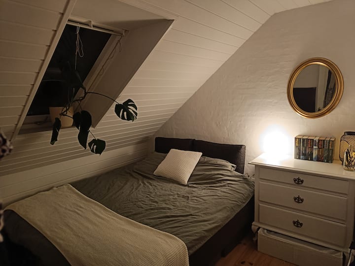 Charmerende Lejlighed Med Masser Af Hygge! - Odense