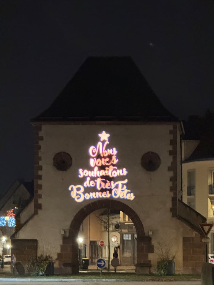 Magie Noël 77m² : Parking Privé / Train Strasbourg - Haguenau