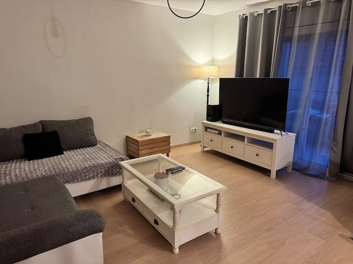 Appartement Schiltigheim Proche Marché De Noël - Strasbourg