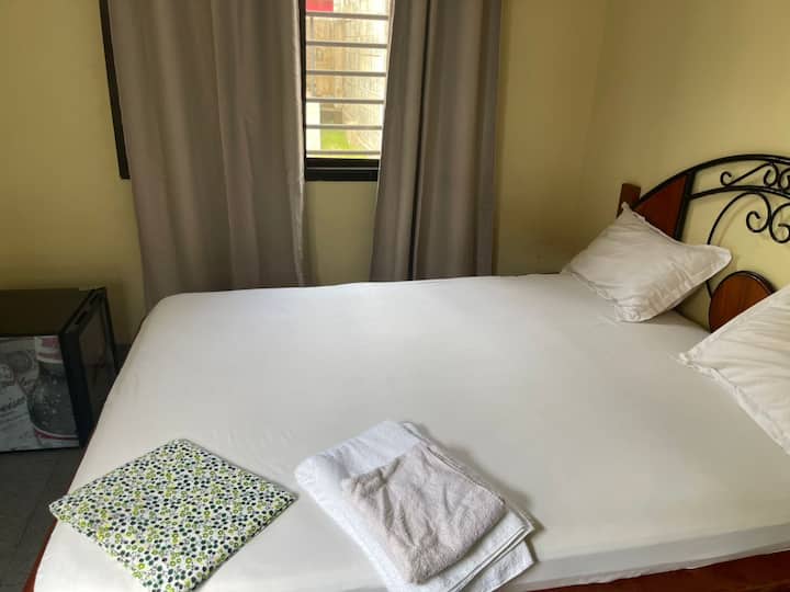 L'annexe Cyrusia - Guinea