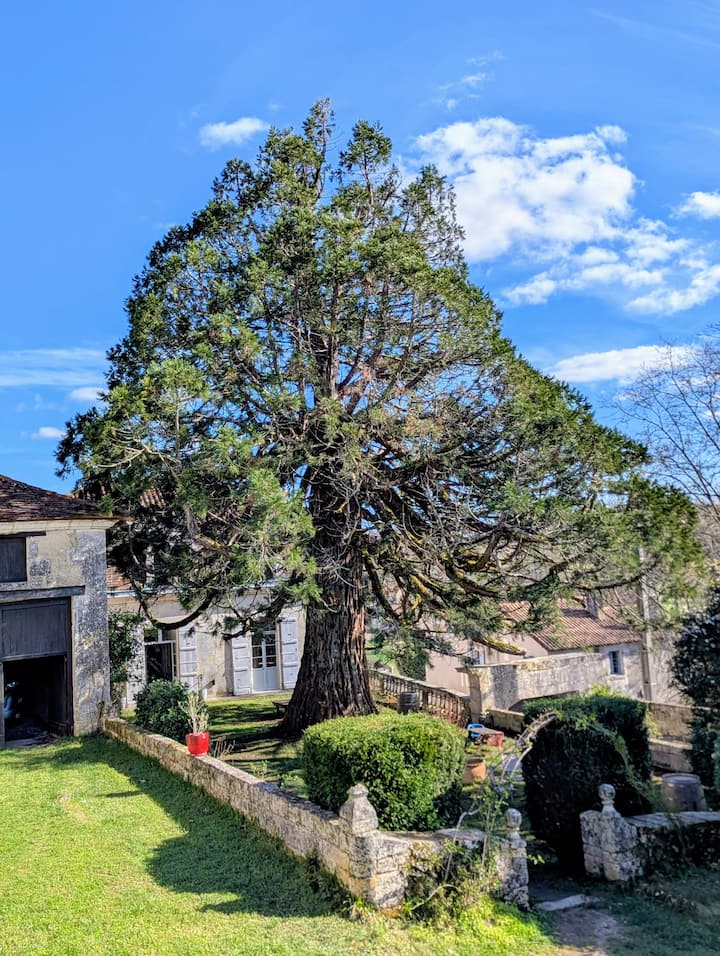 La Royale - Domaine De La Dordrona - Brantôme