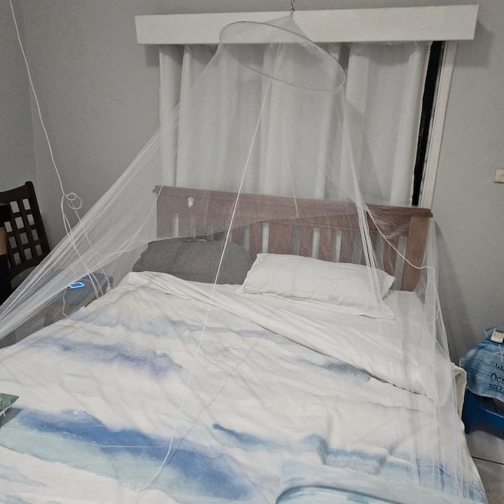 Palm Paradise - Nadi