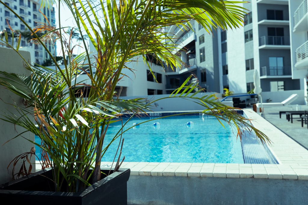 La almohadilla Baller de K - Departamentos en renta en Hollywood ...