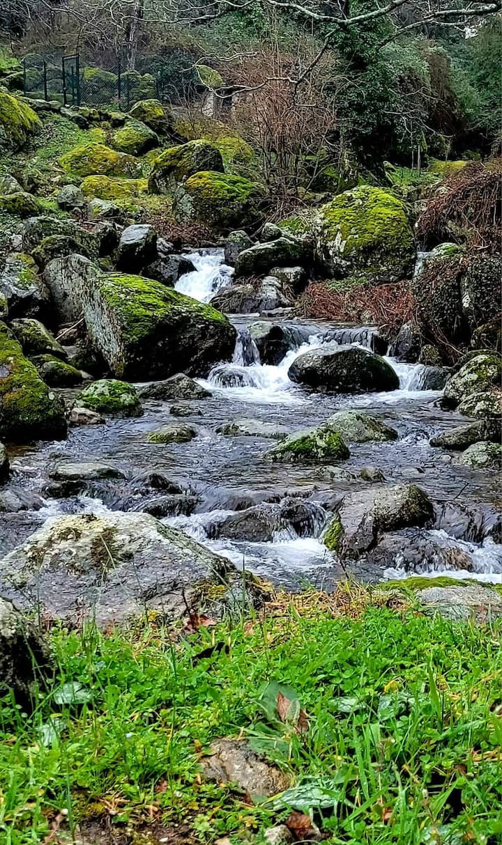 Havre De Paix Au Cœur De La Montagne Corse - Corte
