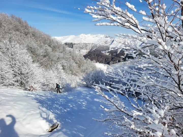 Appartement 6 Personnes - Gourette