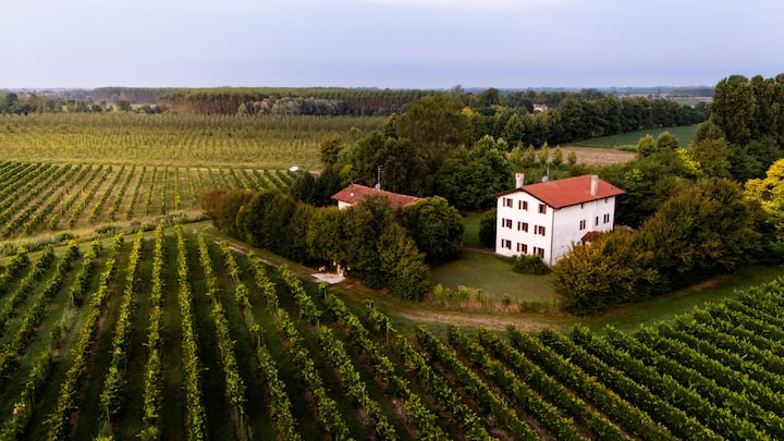 Alloggio Tenuta Ziliotto - Portogruaro