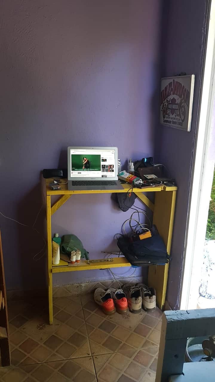 Ilha Bela Barata - Ilhabela